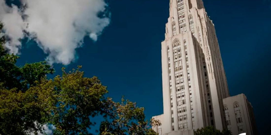 Elated Portfolio archivo - Procesyva