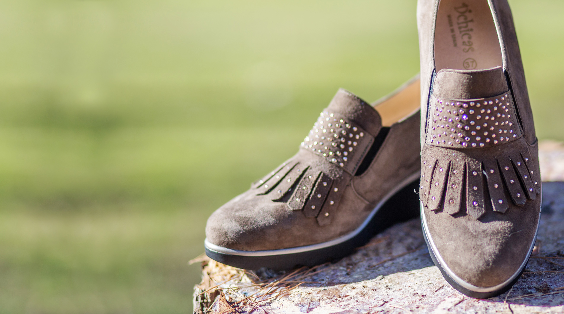 D' Chicas - Procesyva